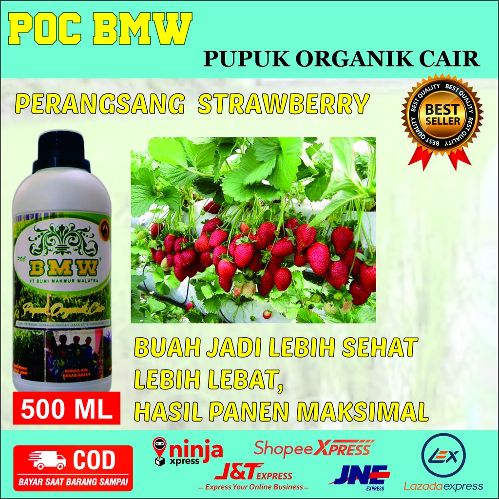 Jual (PALING LARIS !) PUPUK PELEBAT PEMBESAR BUAH TOMAT TERBAIK CEPAT ...