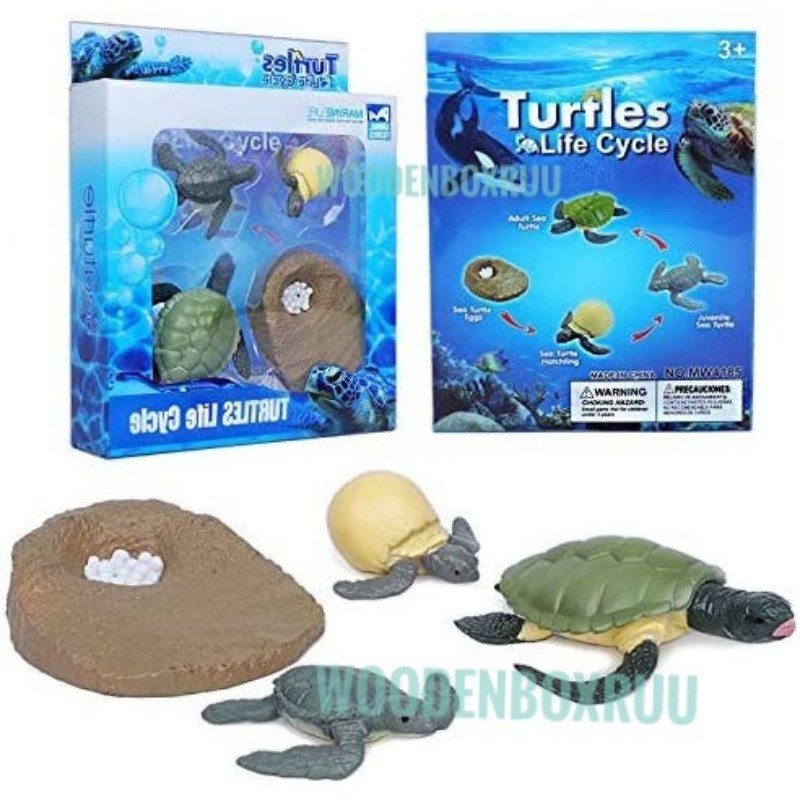 Jual Life Cycle Figurine/ Figurin Siklus Hidup Katak Nyamuk Kura-Kura ...