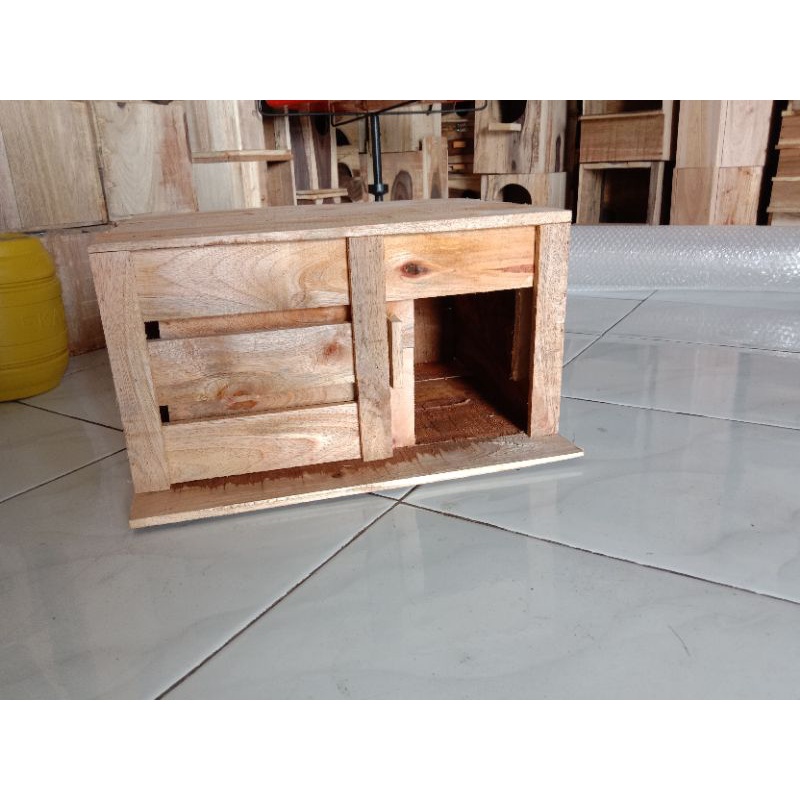 Jual Gupon Merpati terlaris medium size pagupon burung dara | Shopee ...