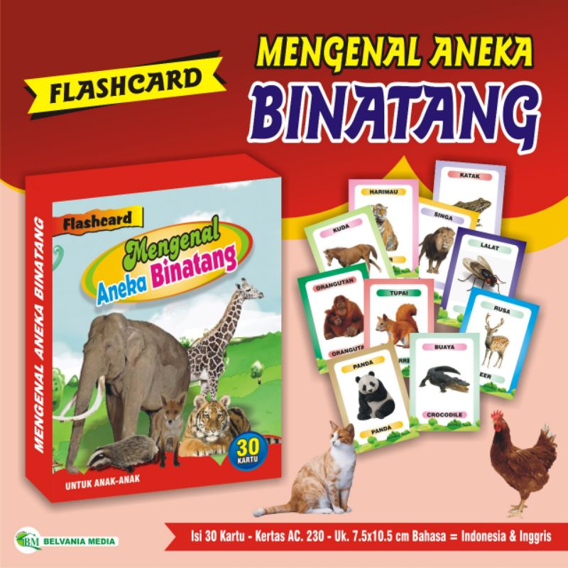 Jual flash card mengenal aneka binatang, kendaraan, buah, & sayuran ...