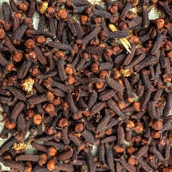 Jual Cengkeh / Cengkih Utuh Kering / Dried Whole Cloves Asli Naringgul ...