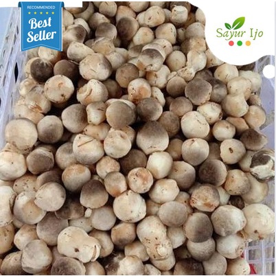 Jual Jamur Merang 240 - 250 Gram Fresh Straw Mushroom Sayur Hijau Segar ...