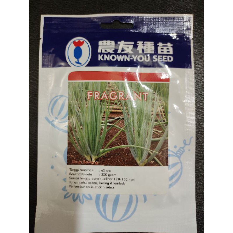 Jual Benih Loncang Fragrant / Daun Bawang | Shopee Indonesia