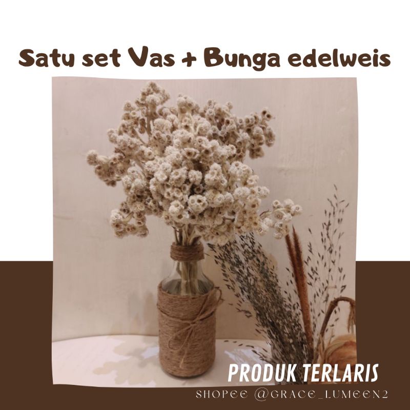 Jual TERMURAH ! , satu set vas kaca tali rami dan bunga aedelwis ...