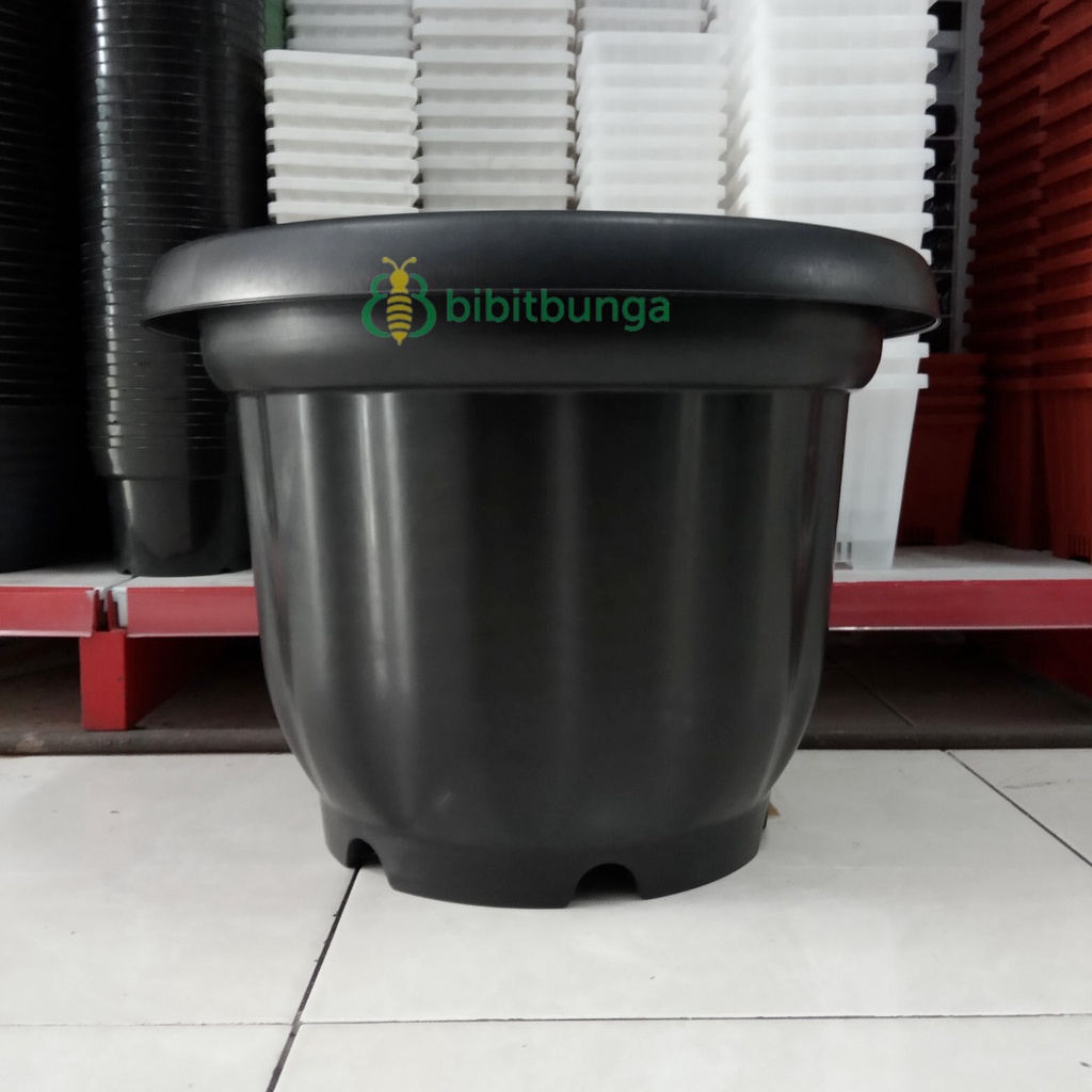 Jual Pot BigMom Hitam 50cm 50 cm Tanaman Bunga Buah Hias Ukuran Besar ...