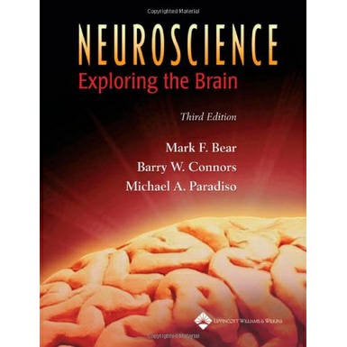 Jual Neuroscience: exploring the brain 3d Edition | Shopee Indonesia