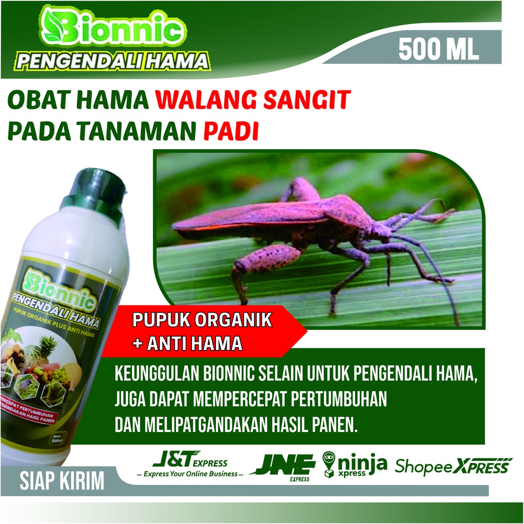 Jual Obat Racun Hama Walang Sangit Pada Padi - BIONNIC Obat Pengendali ...
