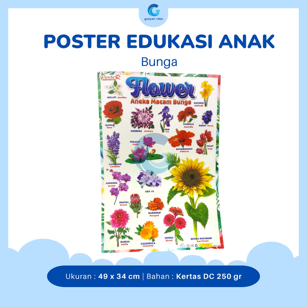 Jual Poster Edukasi Anak Belajar Mengenal Aneka Bunga | Shopee Indonesia