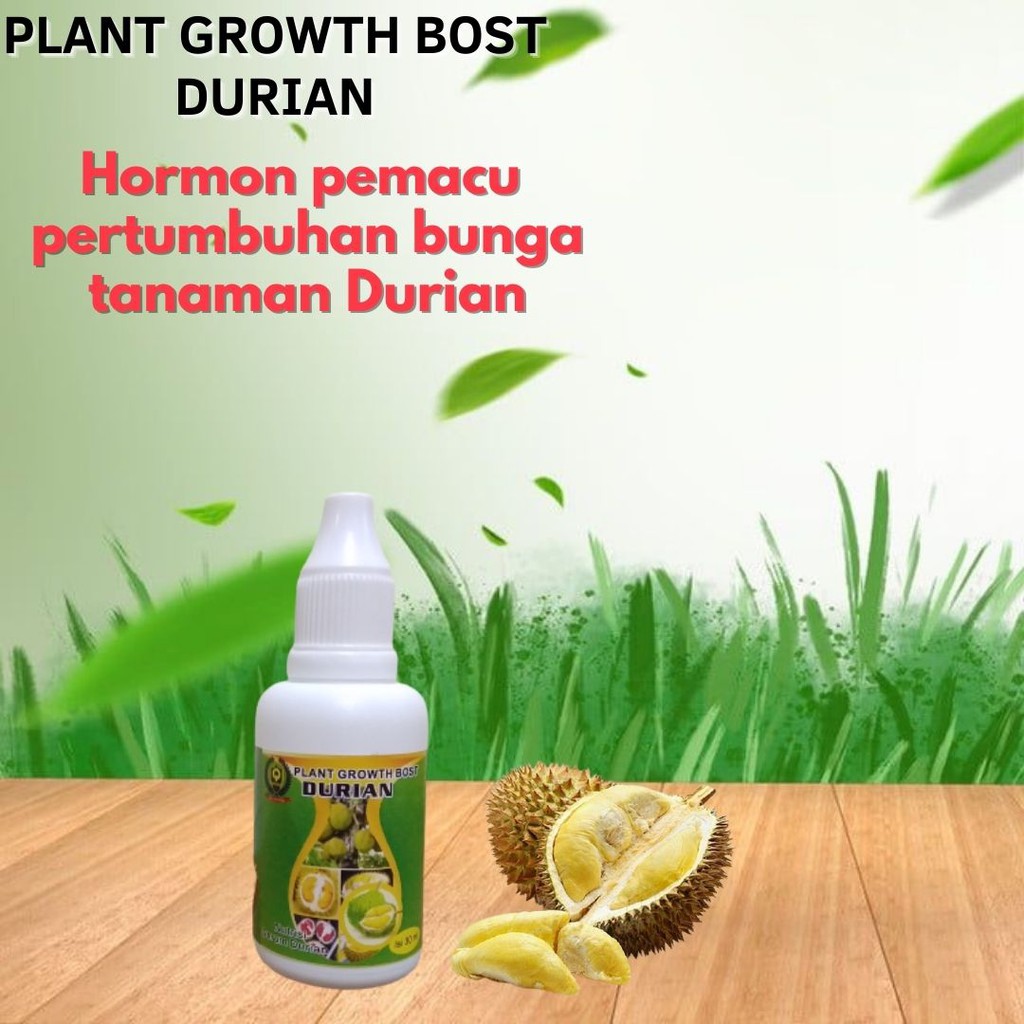 Jual pupuk durian agar cepat berbuah, berbuah lebat, durian baru tanam | Shopee Indonesia