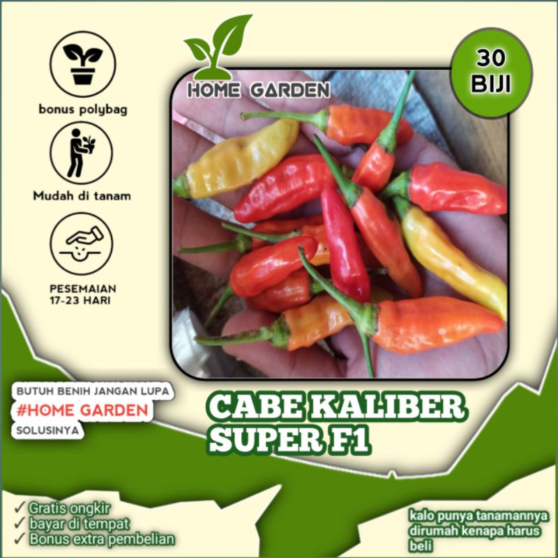Jual 30 Biji - Benih Cabe Rawit Kaliber F1 Bibit Original | Shopee ...