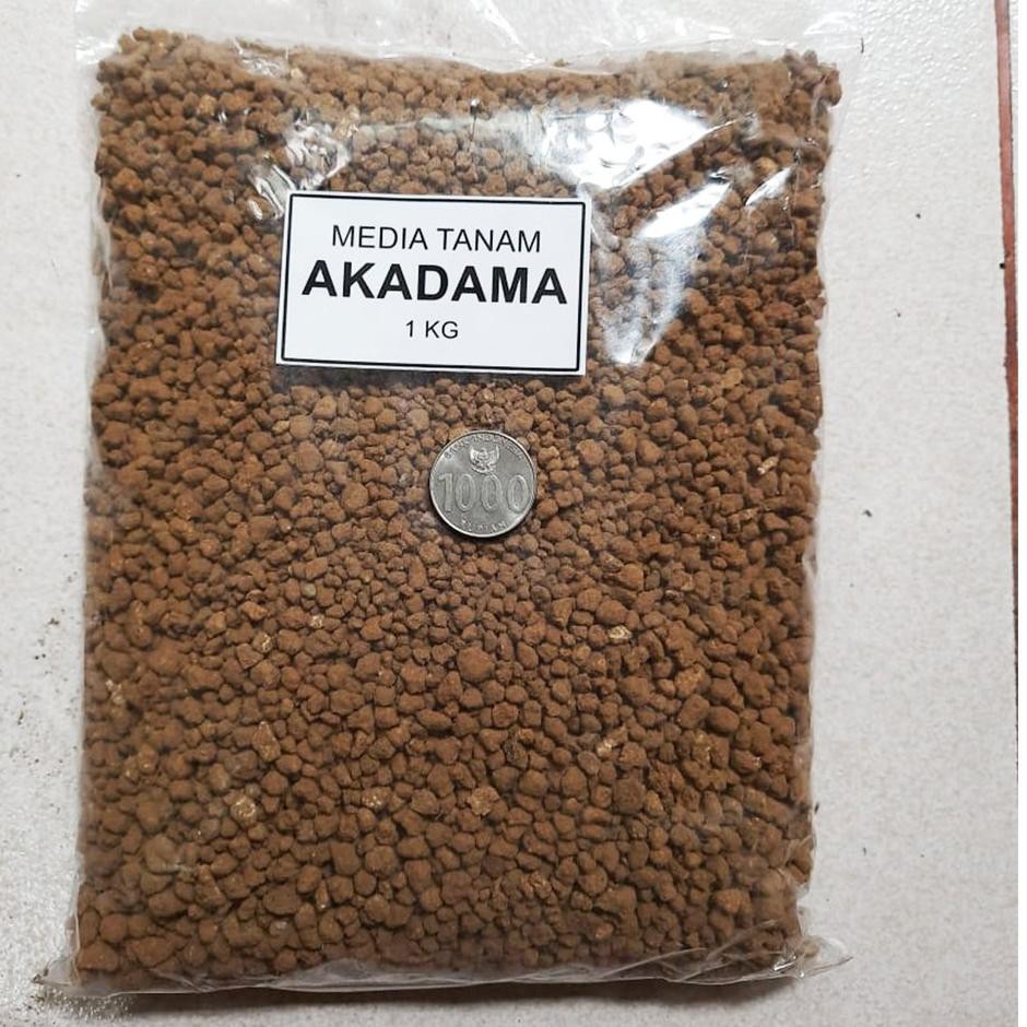 Jual Trendϟ AKADAMA SOIL 1-3 mm|MEDIA TANAM Ibaraki Akadama 1KG ...