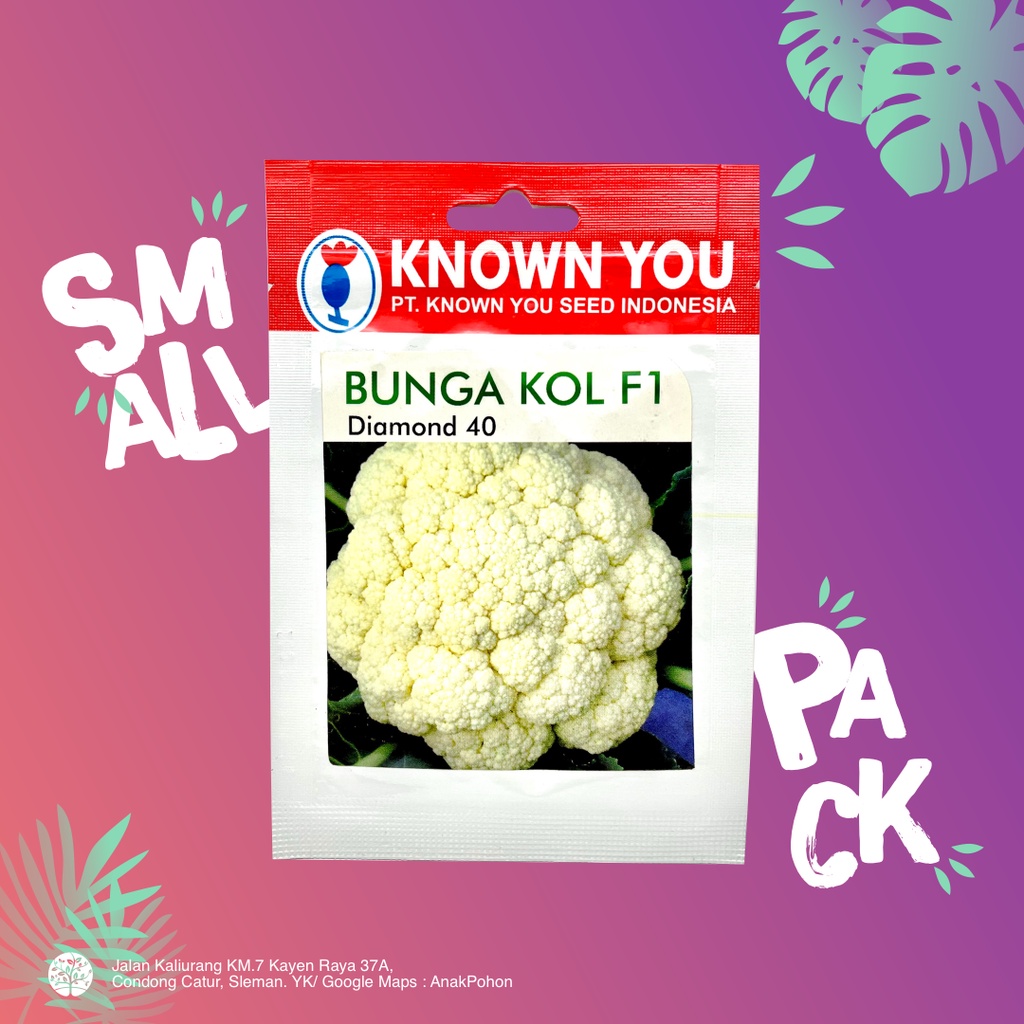 Jual (1 PACK) Benih Bunga Kol F1 Diamond 40 Summer Day - Known You Seed ...