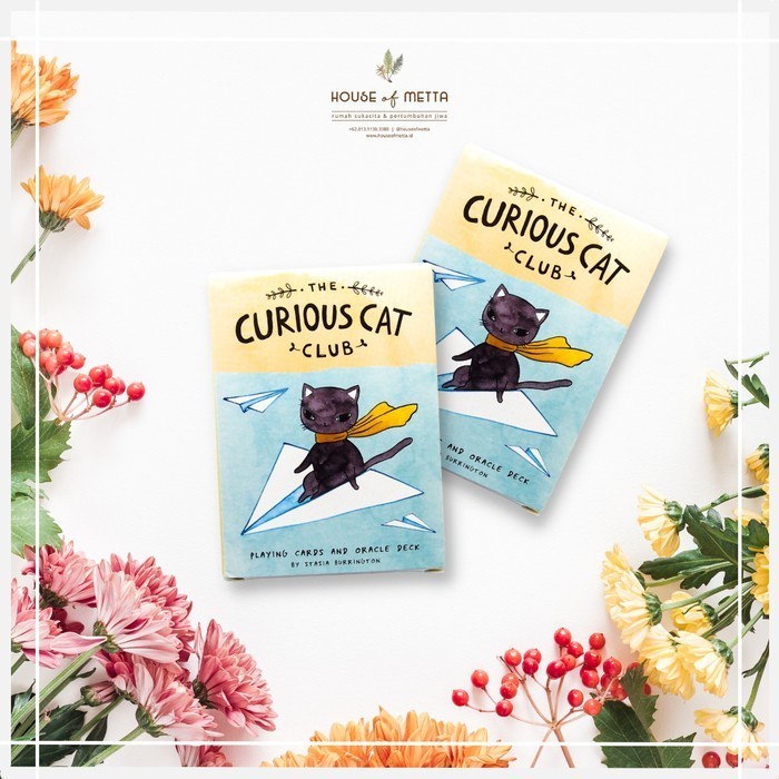 Jual gokered - Tarot & Divination The Curious Cat Club Deck | Shopee ...