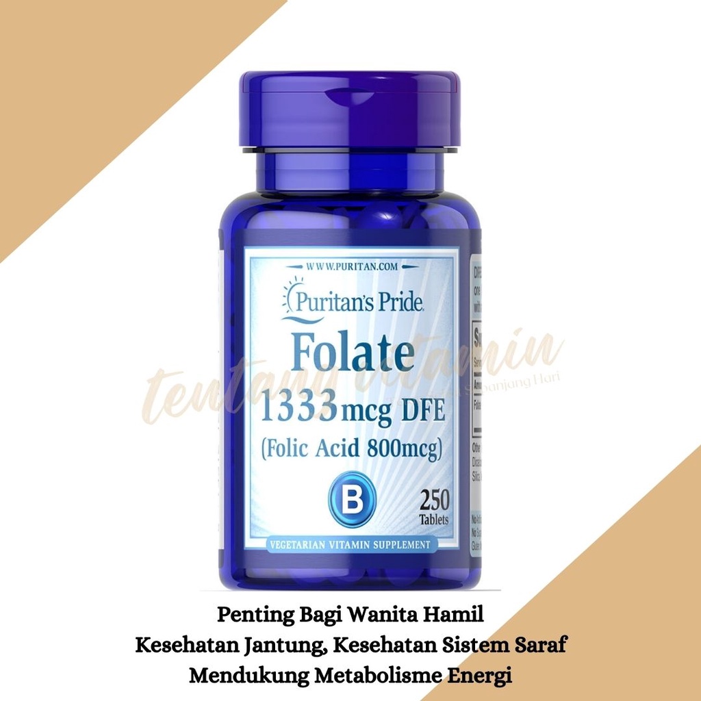 Jual Puritan's Pride Folate 1333 mcg DFE Folic Acid 250 Tablets untuk ...