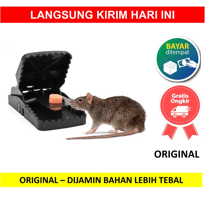 Jual Mouse Trap Jebakan Tikus Perangkap jepretan Alat Jepit Pembasmi ...
