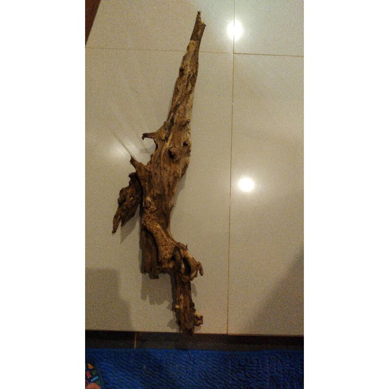 Jual kayu rentek aquascape paludarium vivarium aquarium | Shopee Indonesia