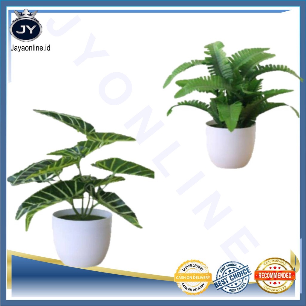 Jual JY DAUN TALAS / DAUN PAKIS TANAMAN HIAS PLASTIK POT BUNGA ...