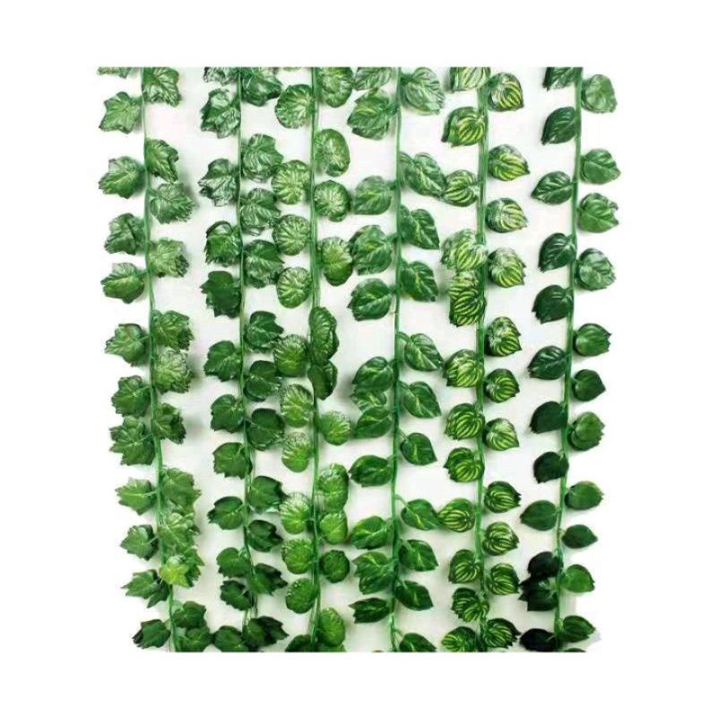 Jual Daun Rambat Sulur 2 Meter | Shopee Indonesia