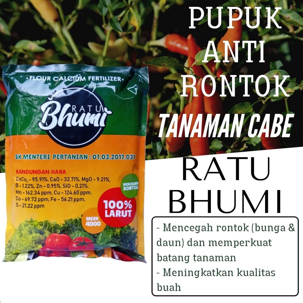 Jual Pupuk Cabai Anti Rontok Bunga dan Daun, Pupuk Kalsium Ratu Bhumi 1 ...