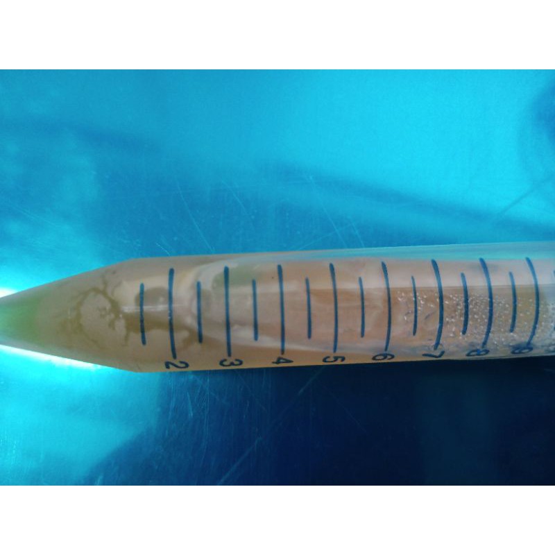 Jual Saccharomyces rouxii | Shopee Indonesia