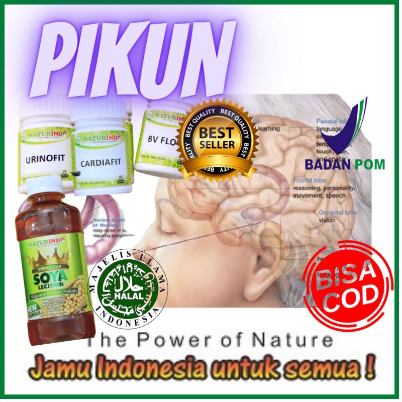 Jual resep obat pikun herbal tradisional alamis uplemen lecithin dapat ...