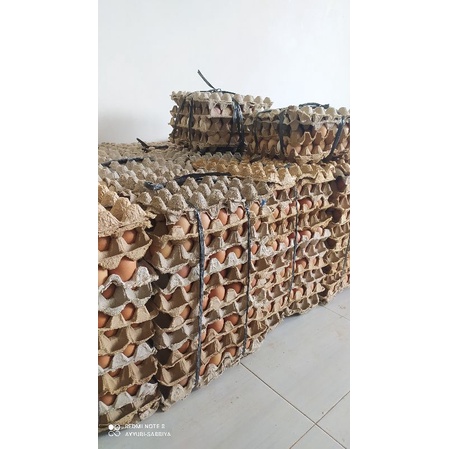 Jual Telur Ayam Ras | Shopee Indonesia