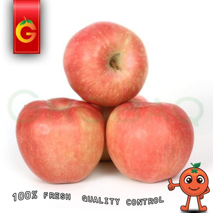 Jual HARGA SPESIAL - BUAH APEL FUJI FRESH 3 KG | Shopee Indonesia