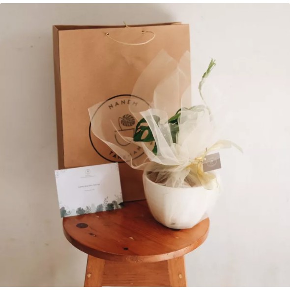 Jual Nanem Taneman - Packing Tambahan untuk Hampers Tanaman dan ...