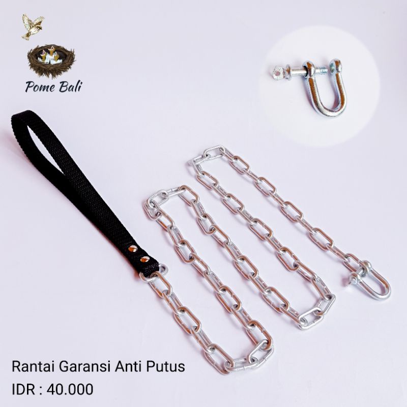 Jual Rantai anjing garansi anti putus / Pome Bali / Rantai anjing Kuat ...