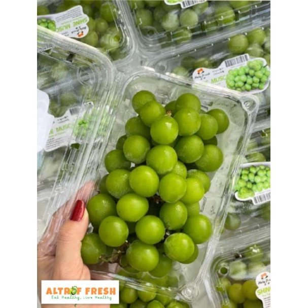 Jual Anggur Shine Muscat / pack 500gram | Shopee Indonesia