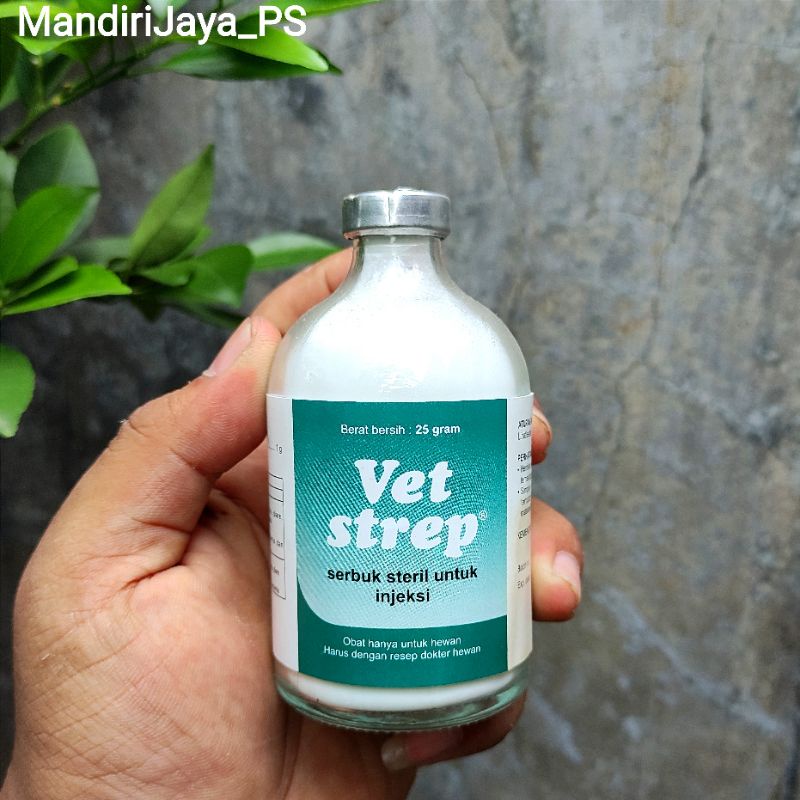 Jual Vet Strep 25 gram Obat Ayam Ngorok Kolera Pial Jengger Bengkak ...