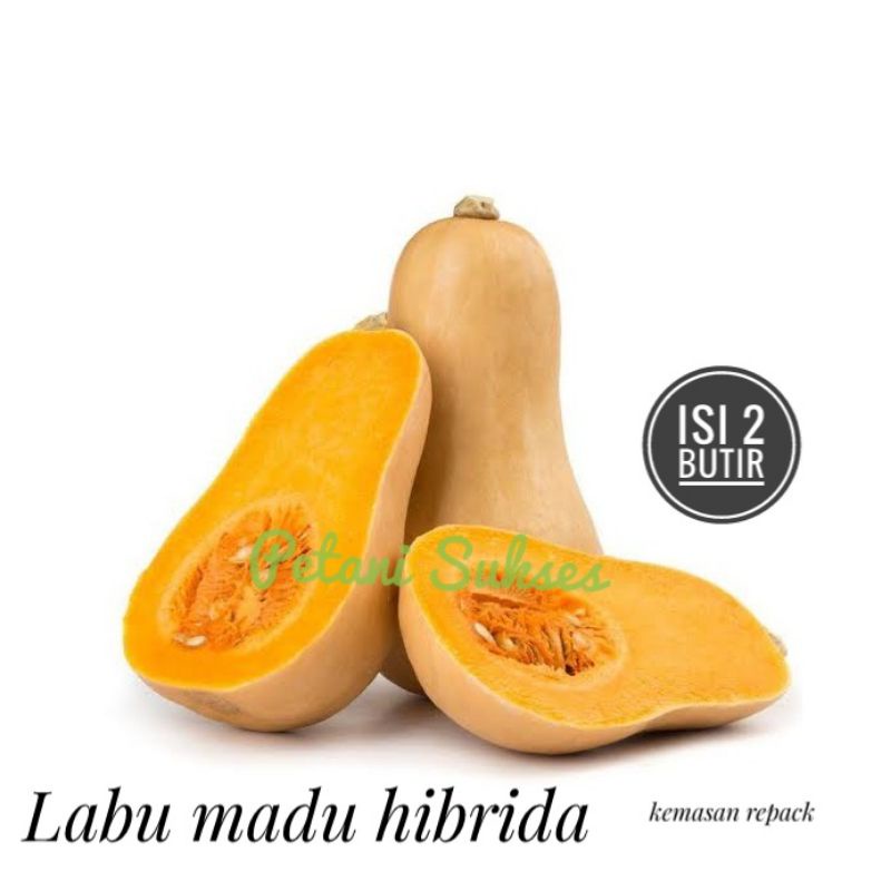 Jual (REPACK 2 butir) Bibit benih sayuran buah LABU MADU HIBRIDA F1 ...