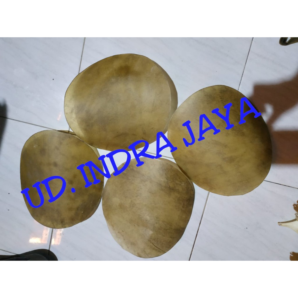 Jual KULIT SAPI POTONGAN UKURAN 35 CM | Shopee Indonesia