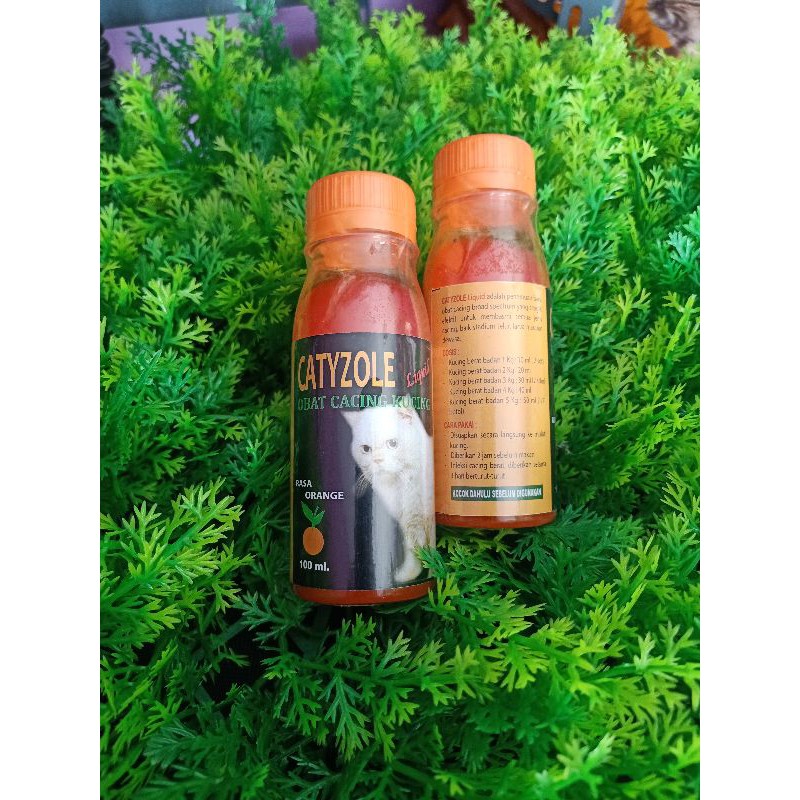 Jual Catyzole Liquid obat cacing | Shopee Indonesia