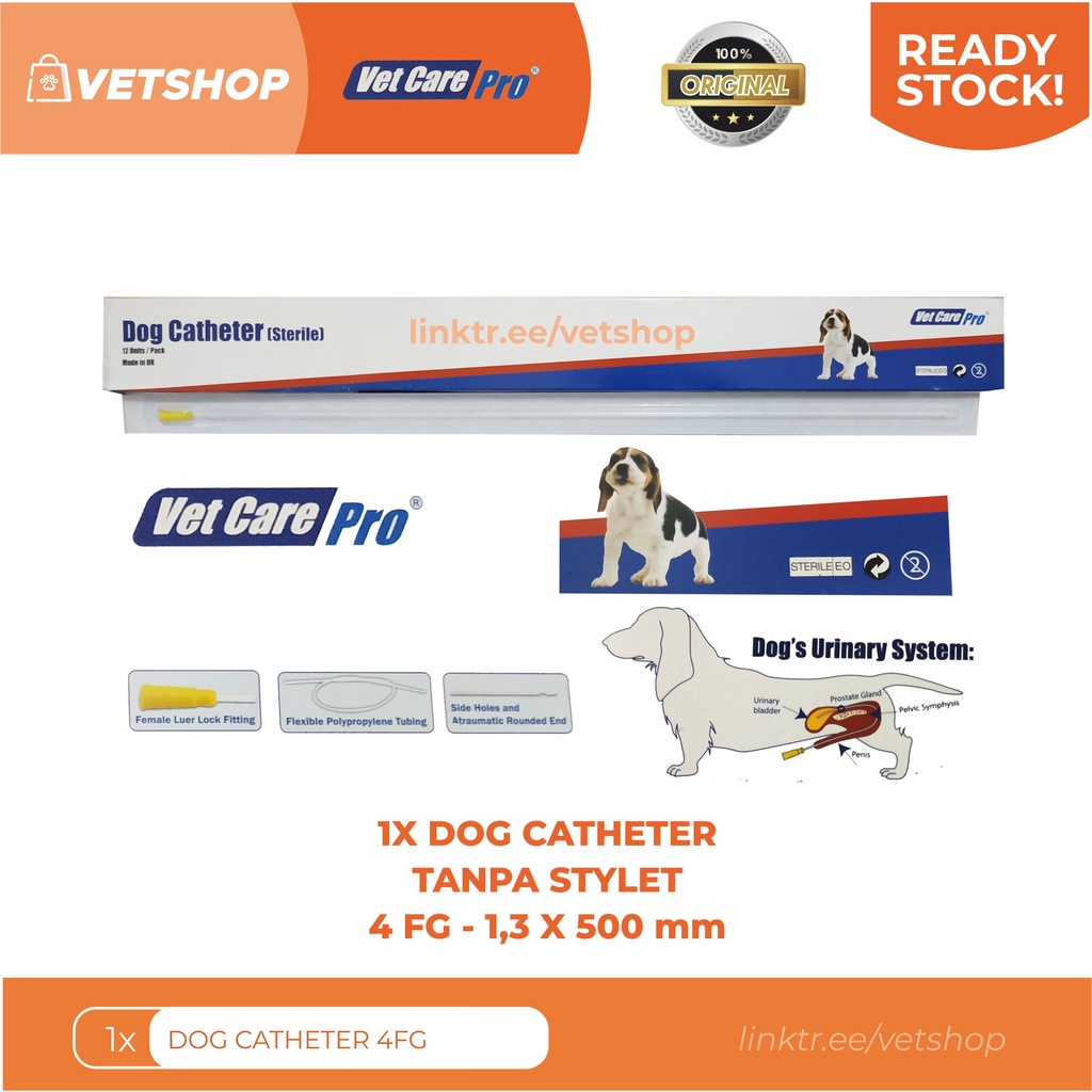 Jual Dog catheter / Kateter anjing - 1 pc | Shopee Indonesia