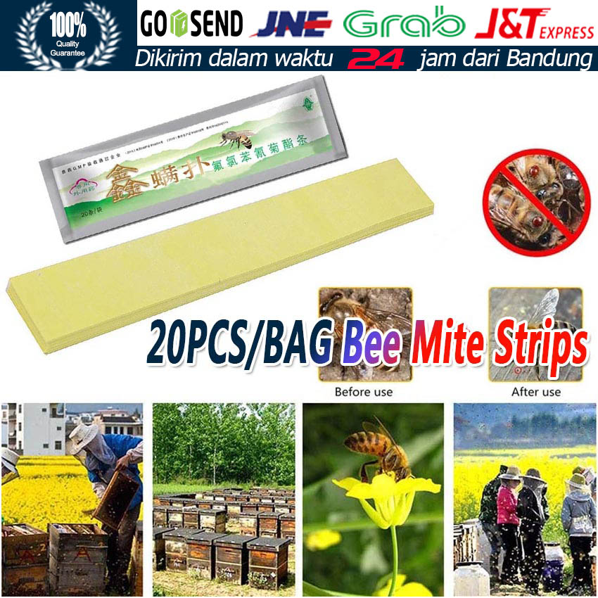 Jual 20PCS Strip obat kutu lebah/Manhao Fluvalinate Strip Obat Pembunuh ...