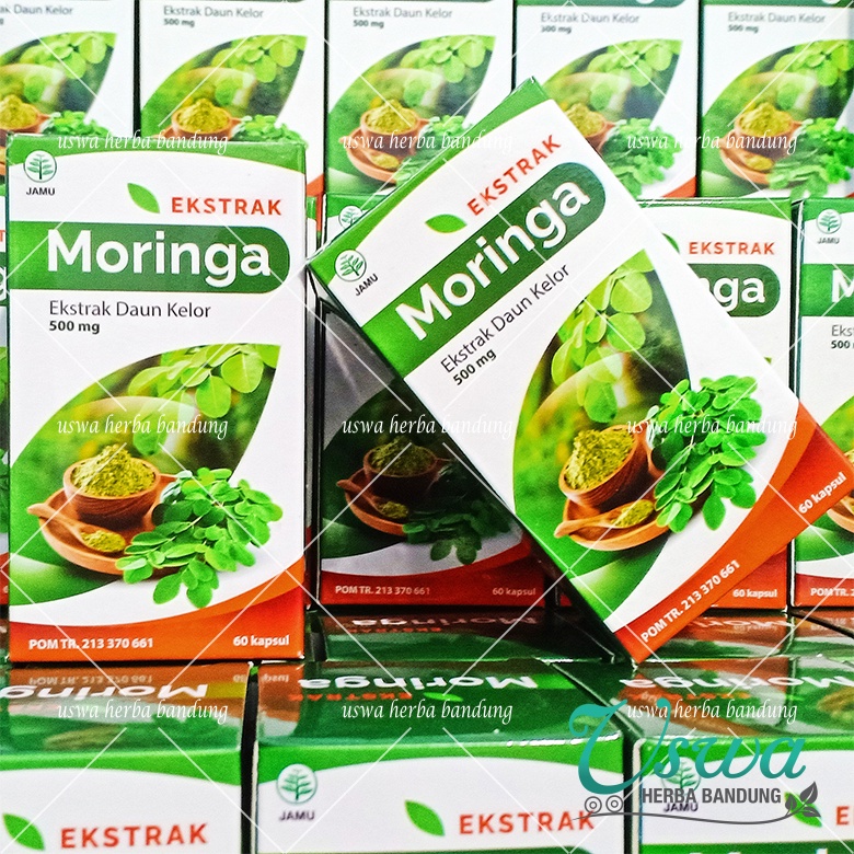 Jual Kapsul Dau Kelor Herbal Kapsul Moringa Untuk Kesehatan Imun Booster Herbal Sumber Vitamin
