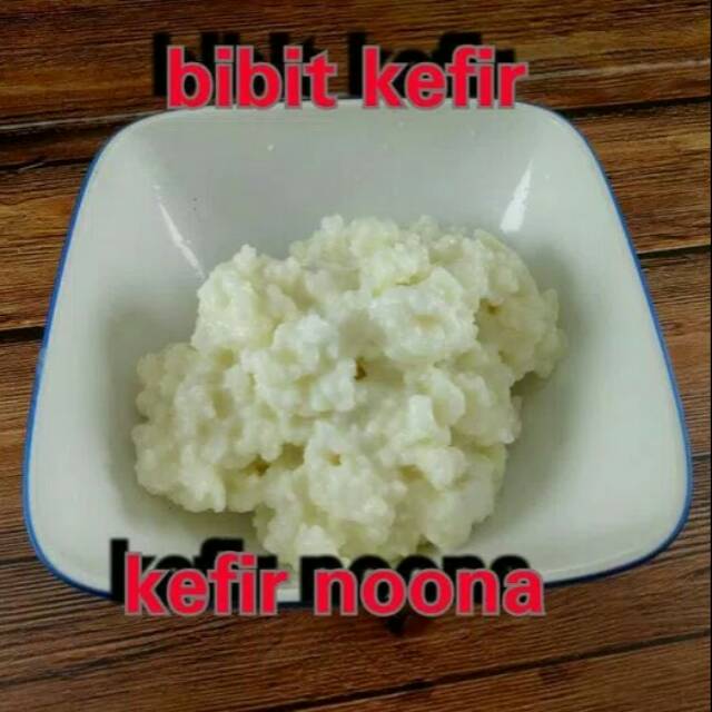 Jual Bibit Kefir 50gr | Shopee Indonesia