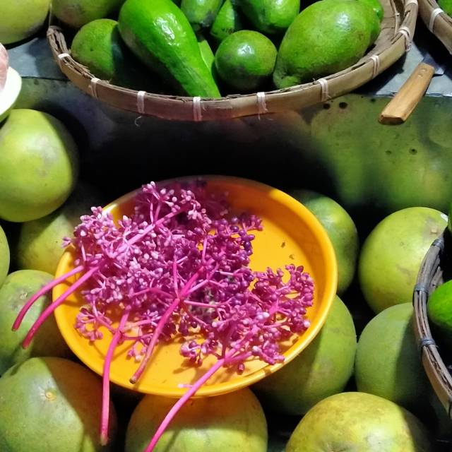 Jual Buah parijotho yang asli dari Gunung muria | Shopee Indonesia