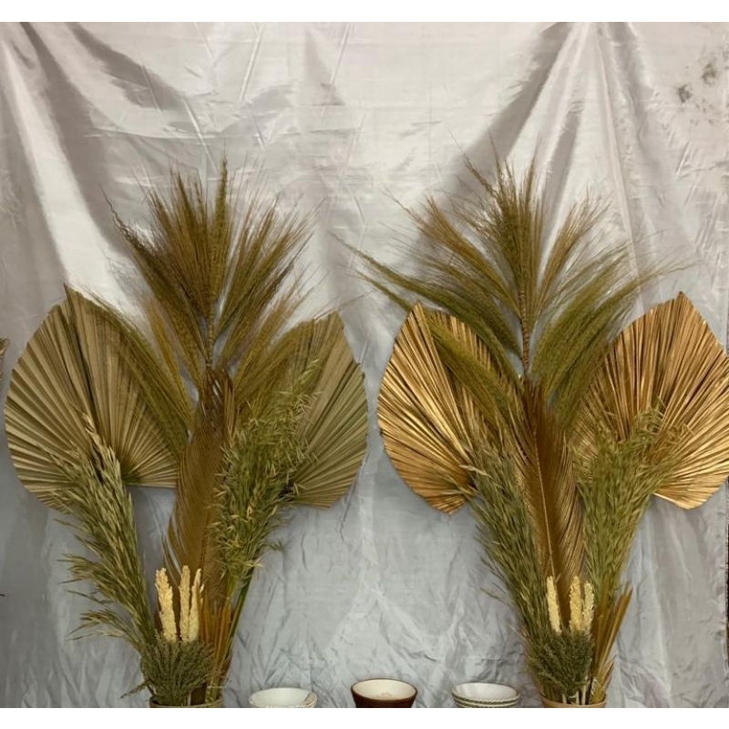 Jual PAKET JUMBO PALEM RAYUNG STICK TANPA VAS/ dekorasi besar rustic ...