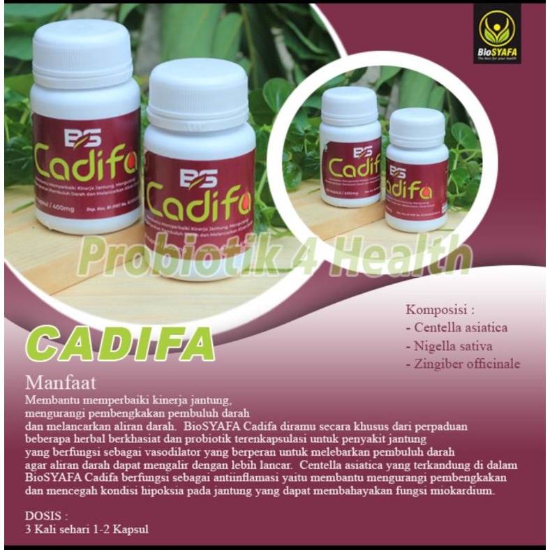 Jual BIOSYAFA CADIFA (jantung) | Shopee Indonesia