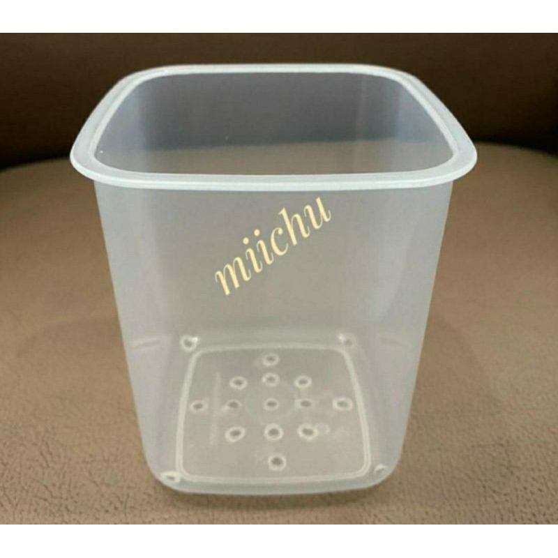 Jual Container / pot plastik bening transparan - kontrol akar ...