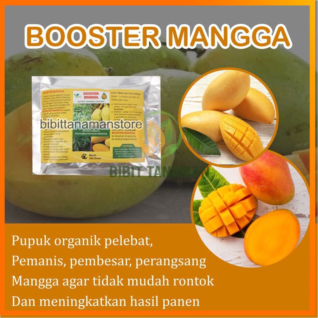 Jual Pupuk Organik Booster Mangga Pemicu Agar Cepat Berbuah Lebat ...