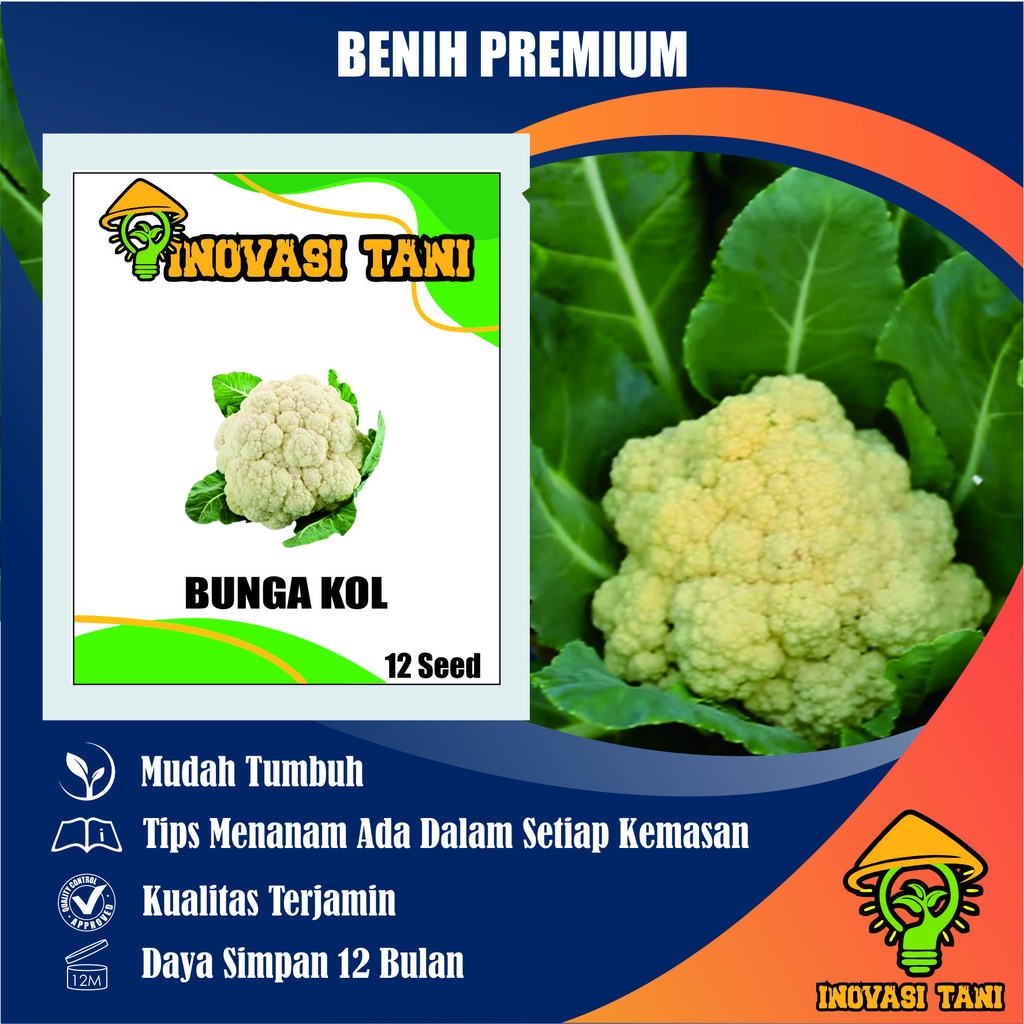 Jual BENIH BIBIT BIJI TANAMAN BUNGA KOL SAYURAN Benih Bibit Biji Super ...