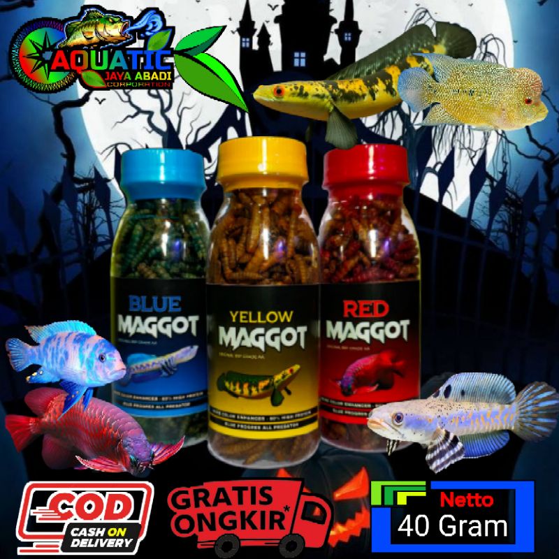 Jual Maggot Bsf kemasan Botol 100ml Extra Salmon | Shopee Indonesia