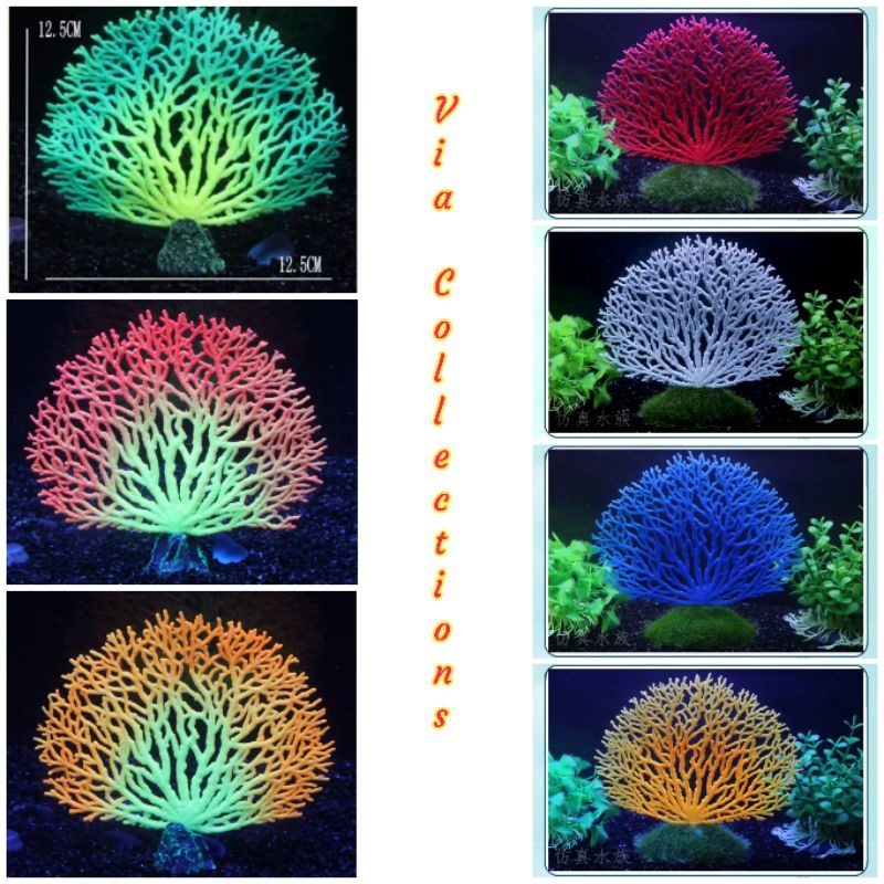 Jual Tanaman Terumbu Hias Aquarium Glowing | Shopee Indonesia Jual Tanaman Terumbu Hias Aquarium Glowing | Shopee Indonesia