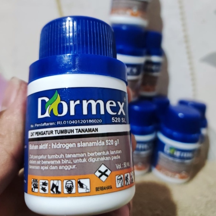 Jual DORMEX PENUMBUH TUNAS ANGGUR, DORMEX ORIGINAL HIDROGEN SIANAMIDA 520 SL | Shopee Indonesia