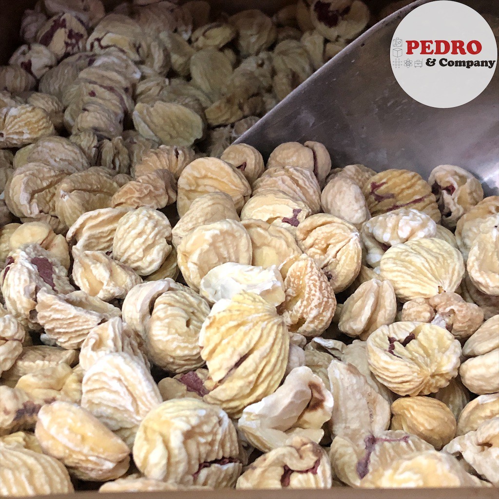 Jual Lakci kacang chestnut dried per 100 gram - chest nut kering / lak ...