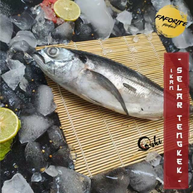 Jual Ikan Selar Tengek Segar / Ikan Selar Tengek Beku / pack 1kg ...