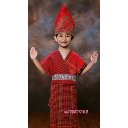 Jual KOSTUM ULOS BATAK ANAK PAKAIAN ADAT BATAK TOBA | Shopee Indonesia